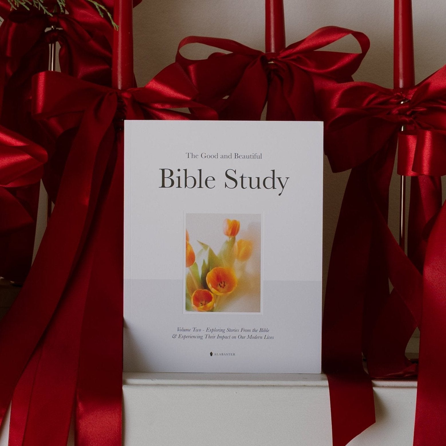 The Good and Beautiful Bible Study - Volume 2 – Alabaster Co
