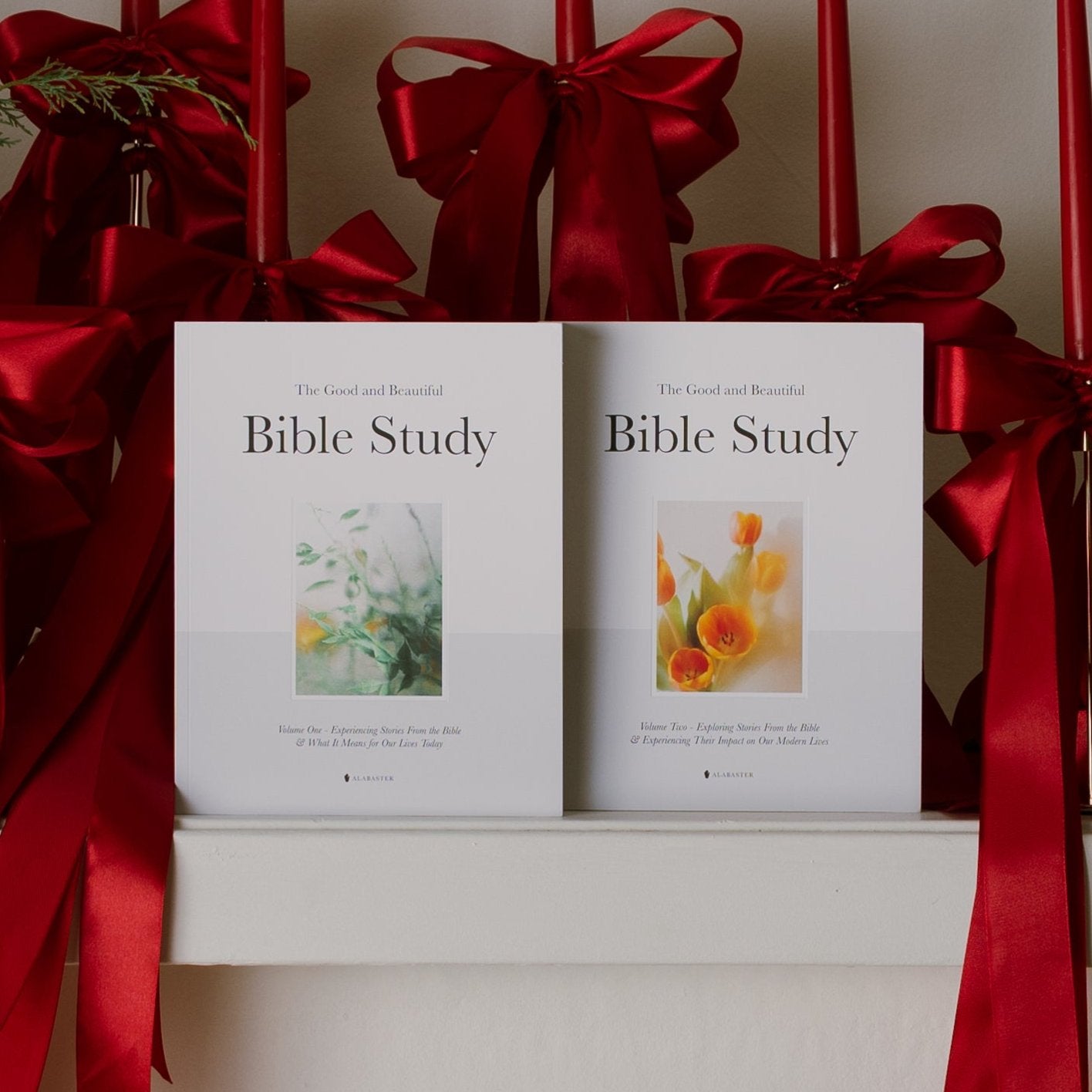 The Good and Beautiful Bible Studies - Bundle – Alabaster Co