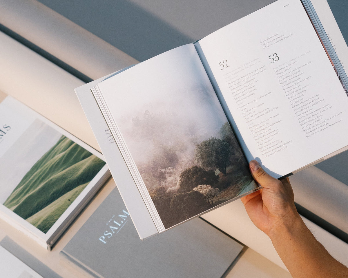 Our Story | Alabaster Co