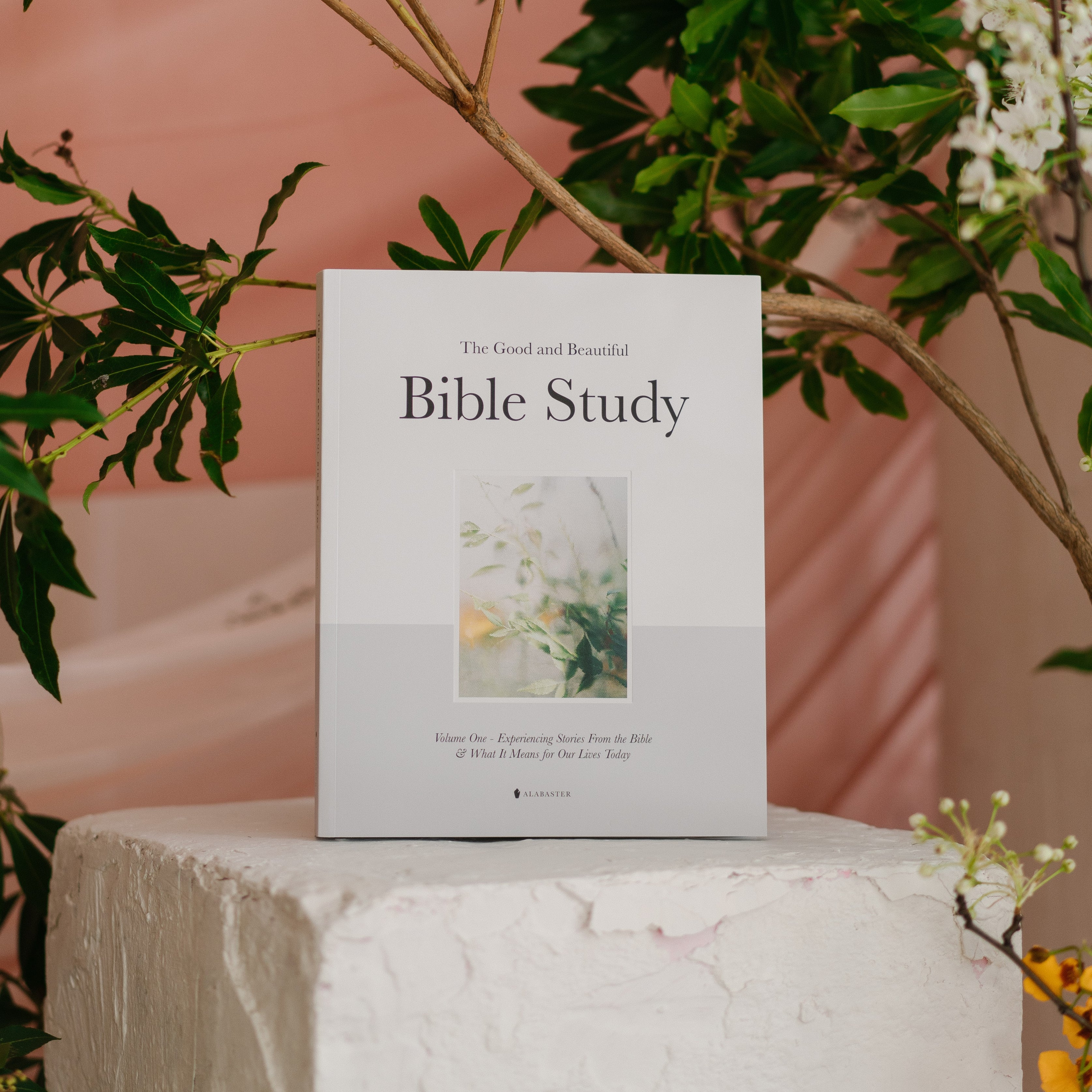 Bundles – Alabaster Co