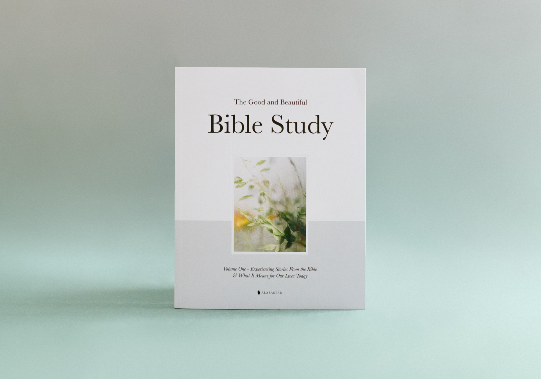 The Complete Bible Collection – Alabaster