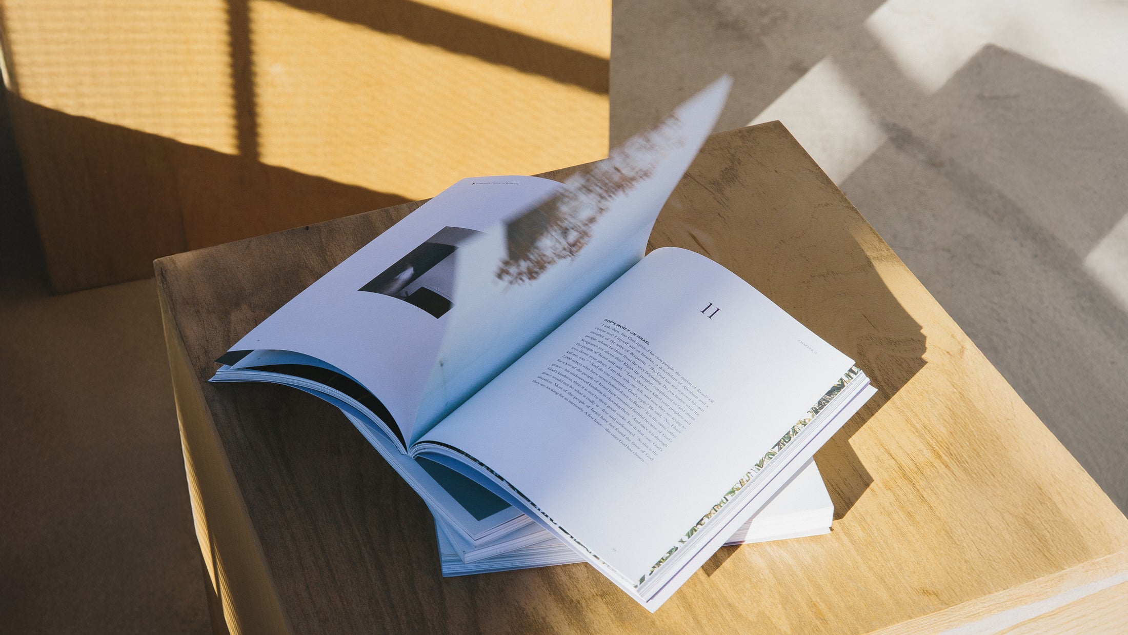 Wisdom Books of the Bible | Alabaster Co