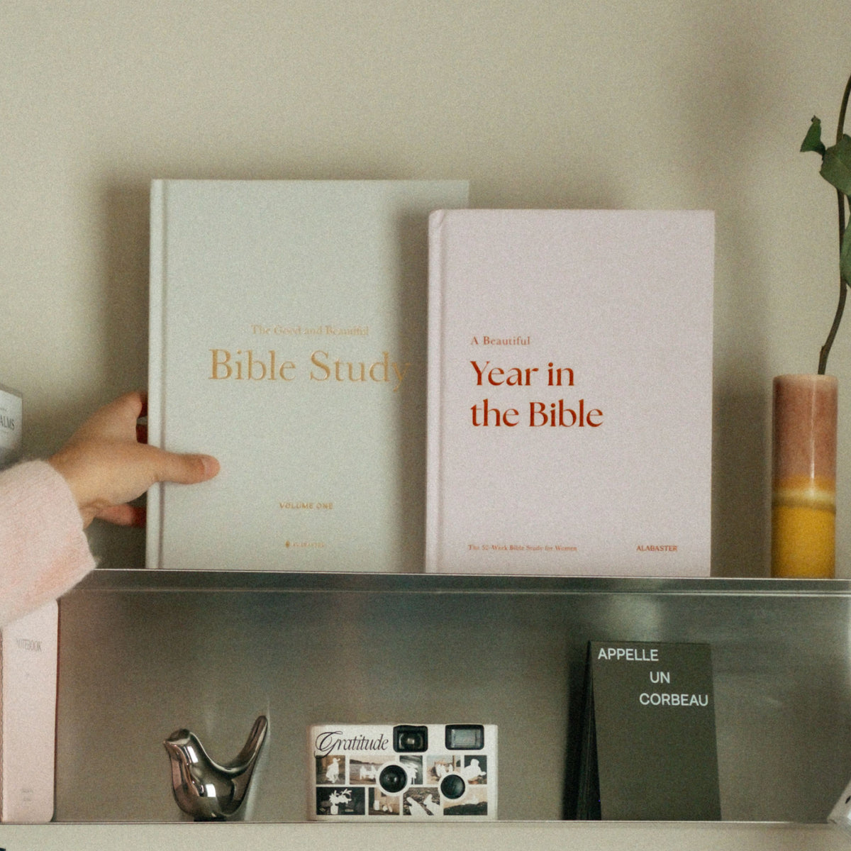 Shop | Alabaster Co