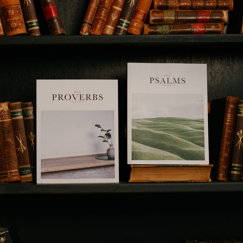 Shop | Alabaster Co